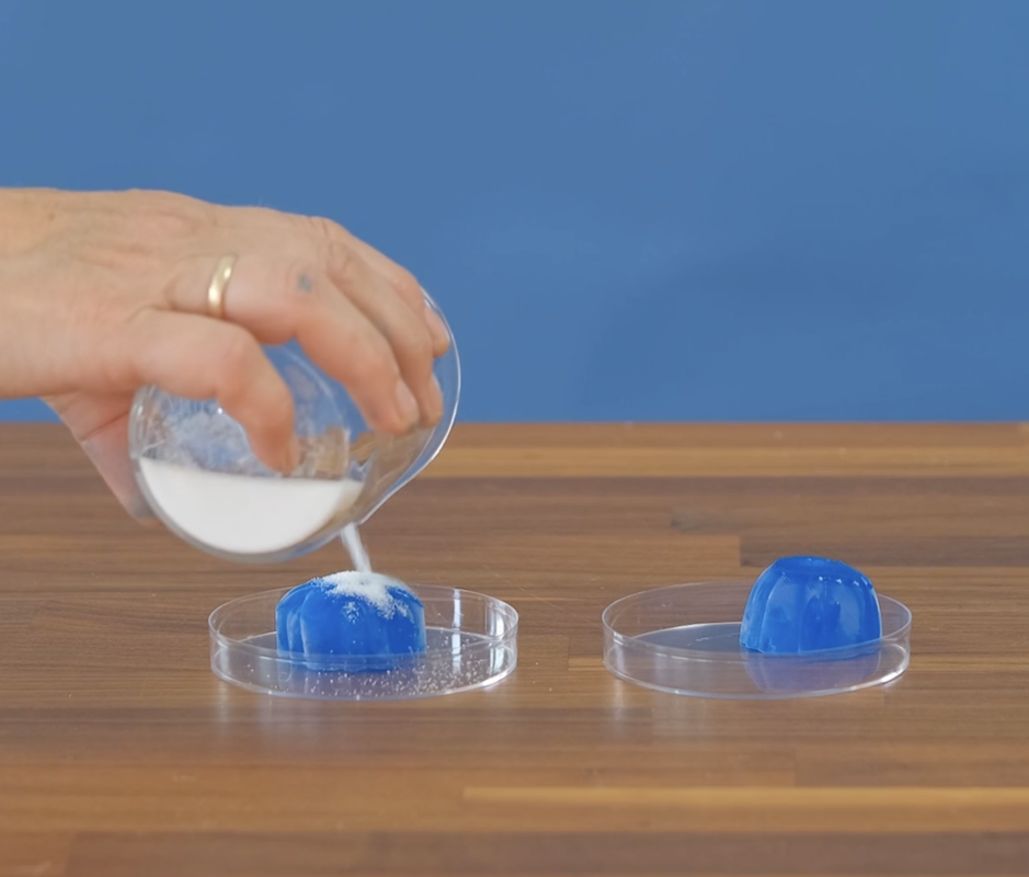 Vad händer när vi blandar is och salt? - Experiment för barn 🧪 ...